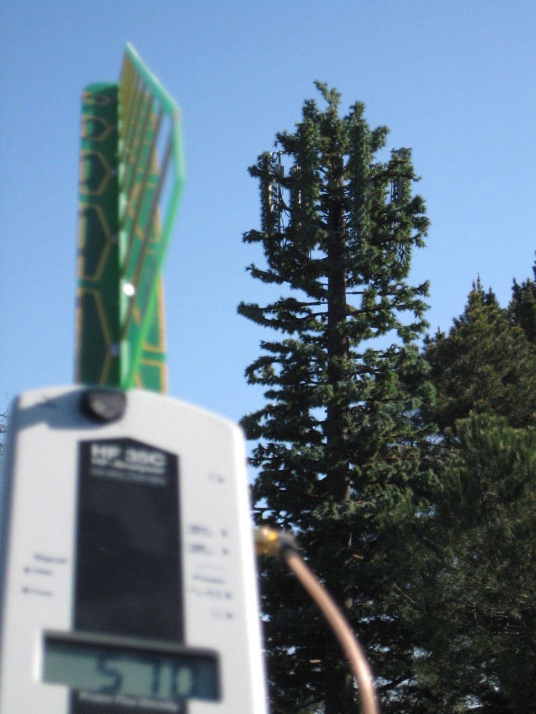 Cell Tower Tree | Protect Your Family from EMF Pollution